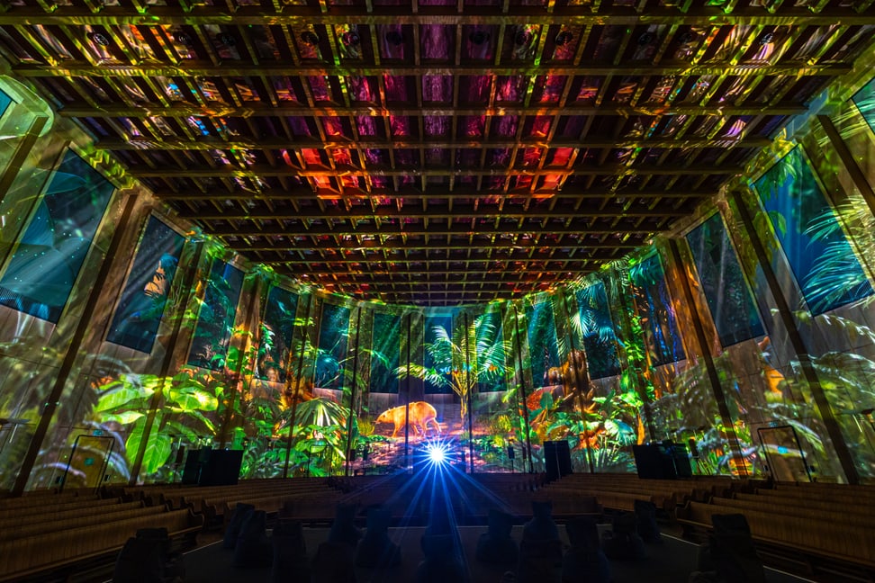 Digital in den Dschungel | Zoo Zürich