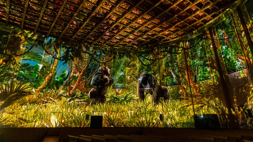 Digital in den Dschungel | Zoo Zürich