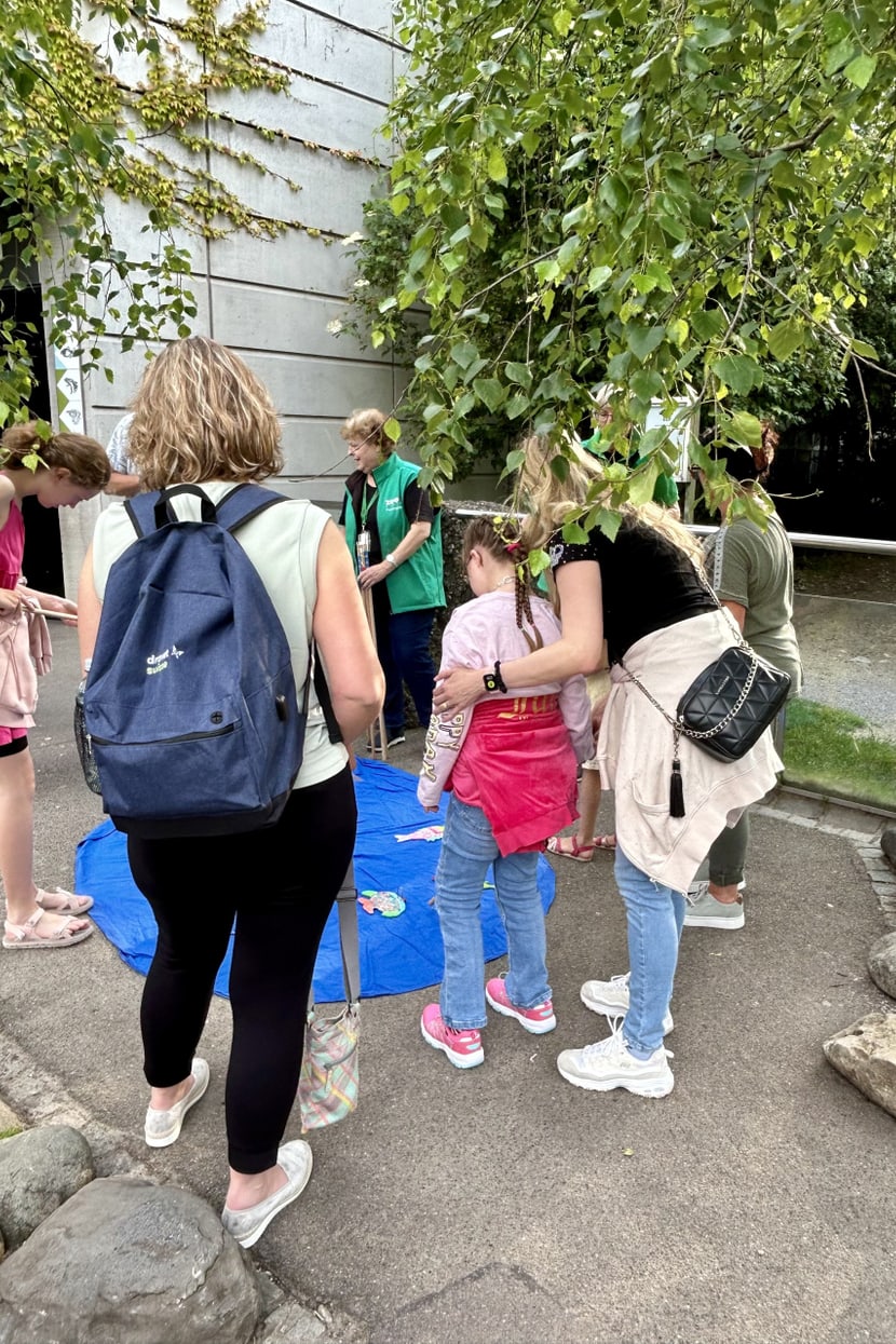 17. Dreamnight im Zoo Zürich | Zoo Zürich