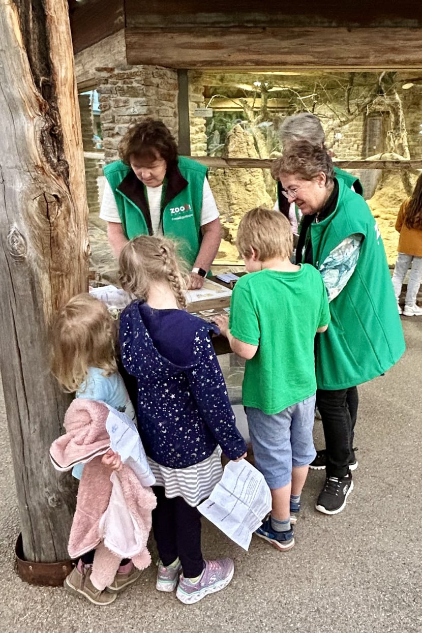 17. Dreamnight im Zoo Zürich | Zoo Zürich