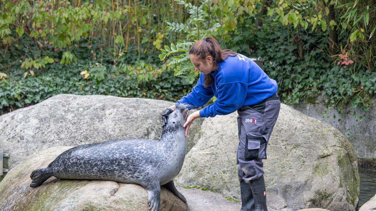 Lehrstelle Wildtierpflege | Zoo Zürich